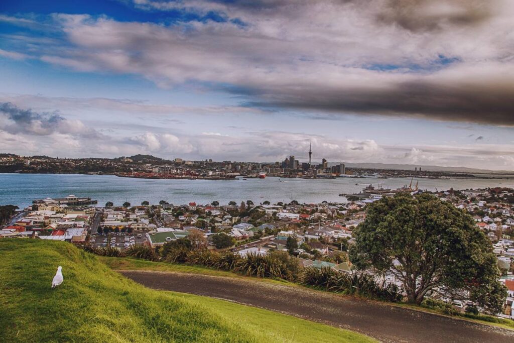 Best Photography Spots in Auckland (3) - Polkadot Passport