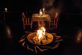 9 South Africa Safari Tips to Read Before You Go - Polkadot Passport