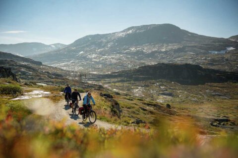 Campervanning in Norway- 7 BEST Campgrounds to Stay At