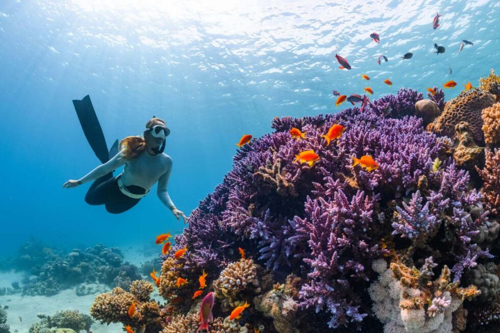 7 Best Diving Resorts in the Maldives